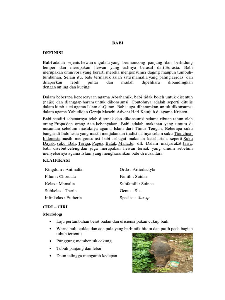 Mengetahui Jenis Mamalia Babi | PDF
