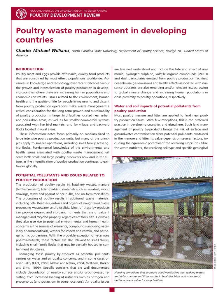 Poultry PDF | Download Free PDF | Manure | Anaerobic Digestion