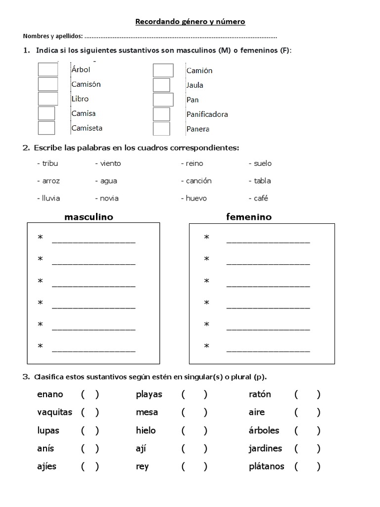 Ejercicios de género y número para primaria | PDF