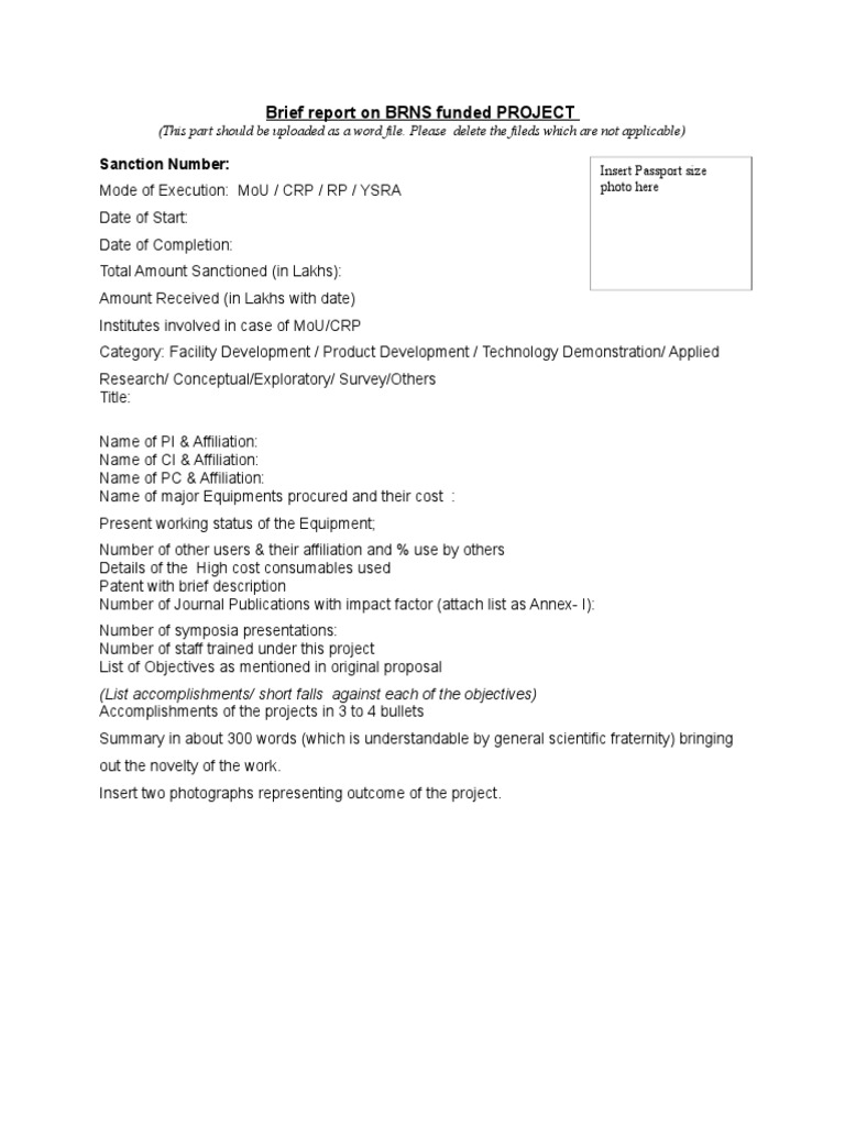 Brief Report On BRNS Funded PROJECT: Sanction Number | PDF