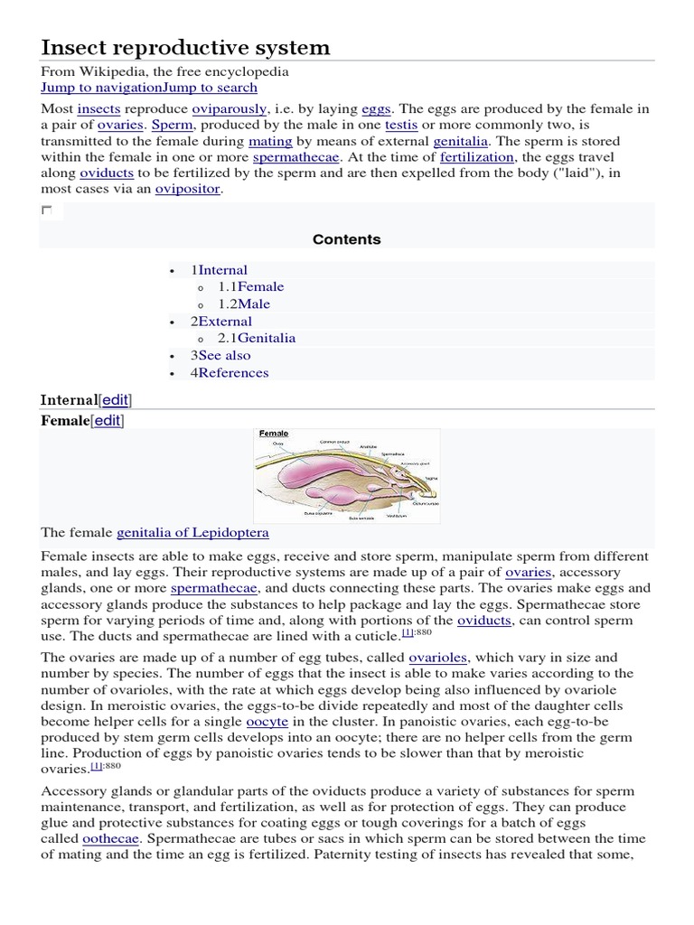 Insect Reproductive System | PDF | Insects | Reproduction