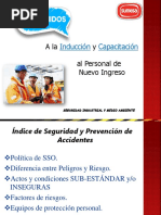 Prueba Pip | PDF | Cognición | Sicología