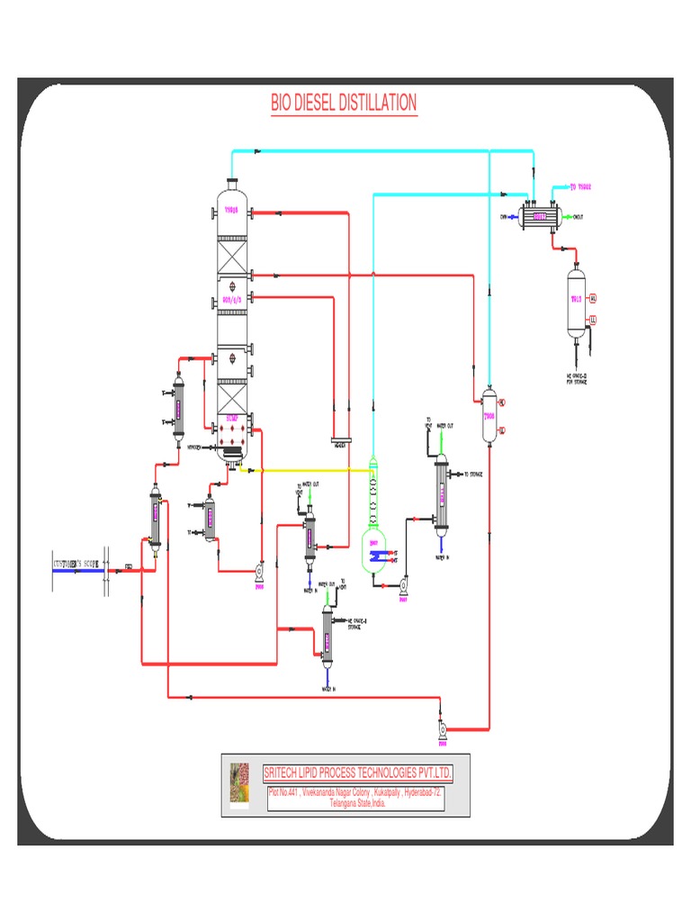 Capacity of BioDiesel Plan | PDF
