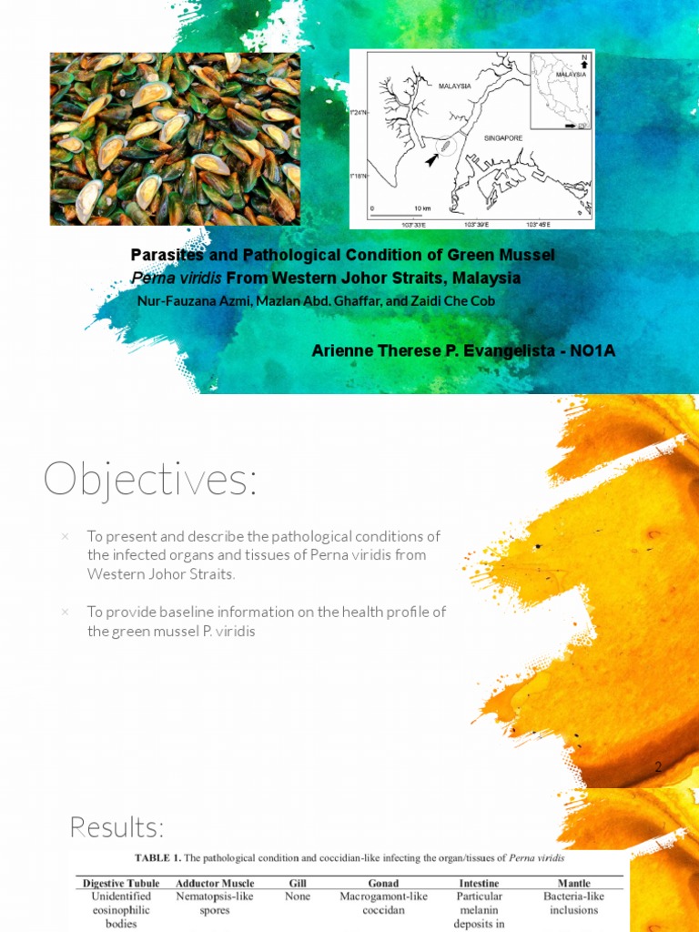 Parasites and Pathological Condition of Green Mussel: Perna Viridis ...