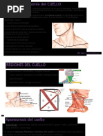 Anatomía de los Triángulos del Cuello | PDF | Anatomía humana | Cabeza ...