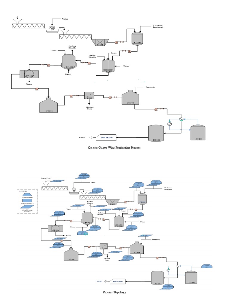 Process Topology | PDF