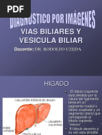 FRUTENZIMA: Usos y Beneficios Clínicos | PDF | Páncreas | Órgano (anatomía)