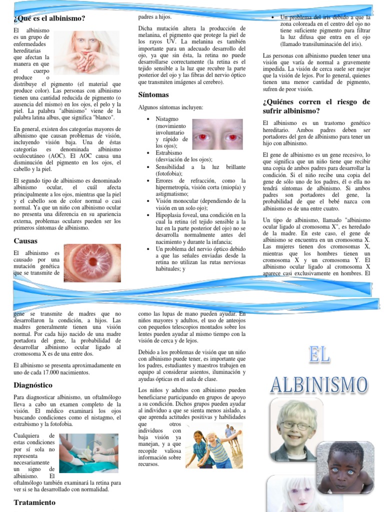 Triptico El Albinismo | Ojo humano | Percepción visual