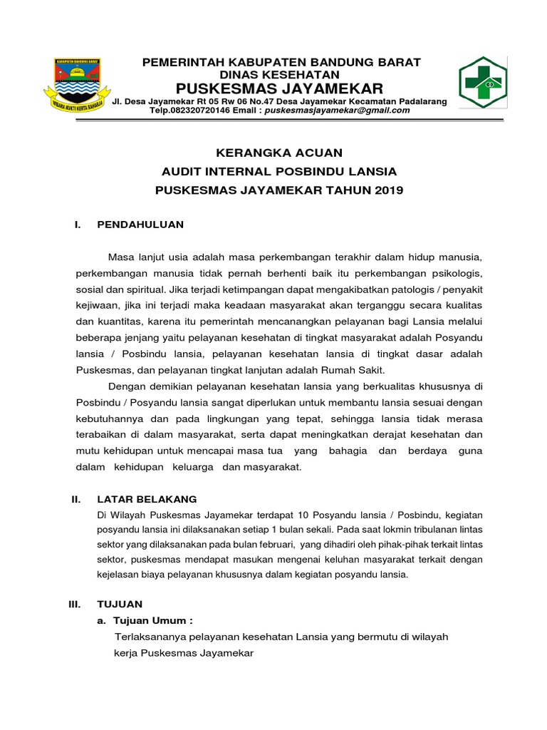 KAK Audit Internal Kes Lansia | PDF