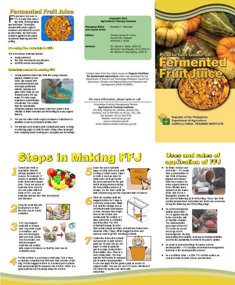 FFJ Concoction | PDF | Fruit | Soil