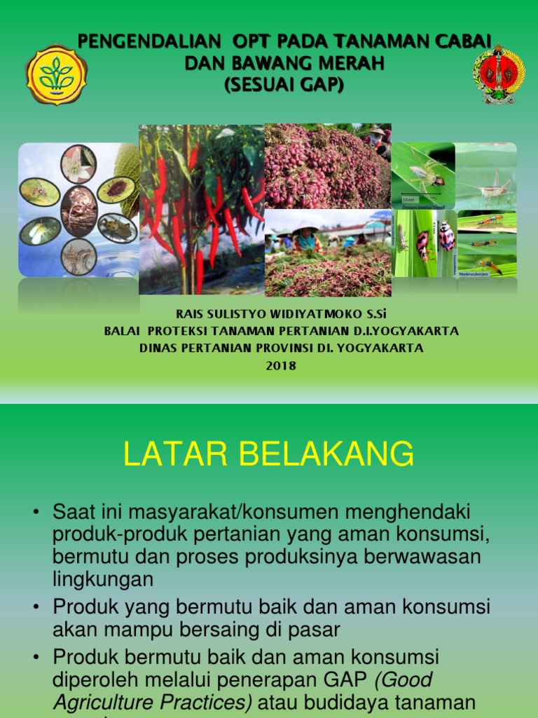 Pengendalian OPT pada Tanaman Cabai | PDF | Sains & Matematika