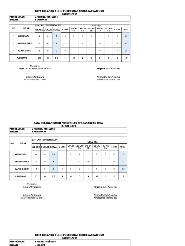 Data Bulin Pusk 2019 | PDF