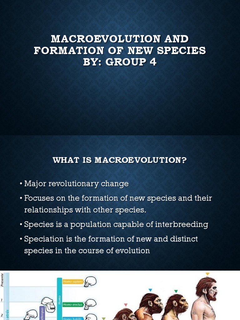 Macro Evolution and Species Formation | PDF