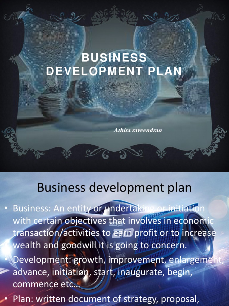 Business Development Plan | PDF