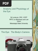Visual Pathway | PDF | Visual System | Cerebral Cortex