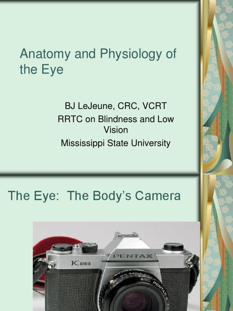 Anatomy & Physiology of The Eye | PDF | Retina | Human Eye