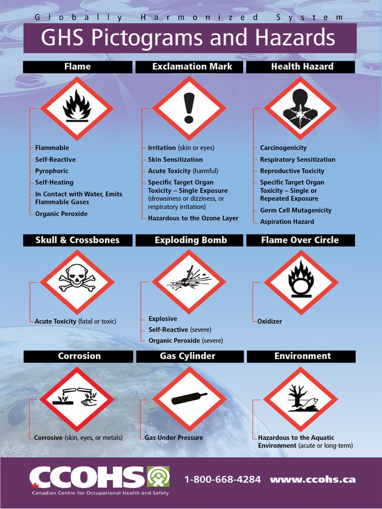 Chemical Hazard Identification: A Guide to Understanding GHS Pictograms ...