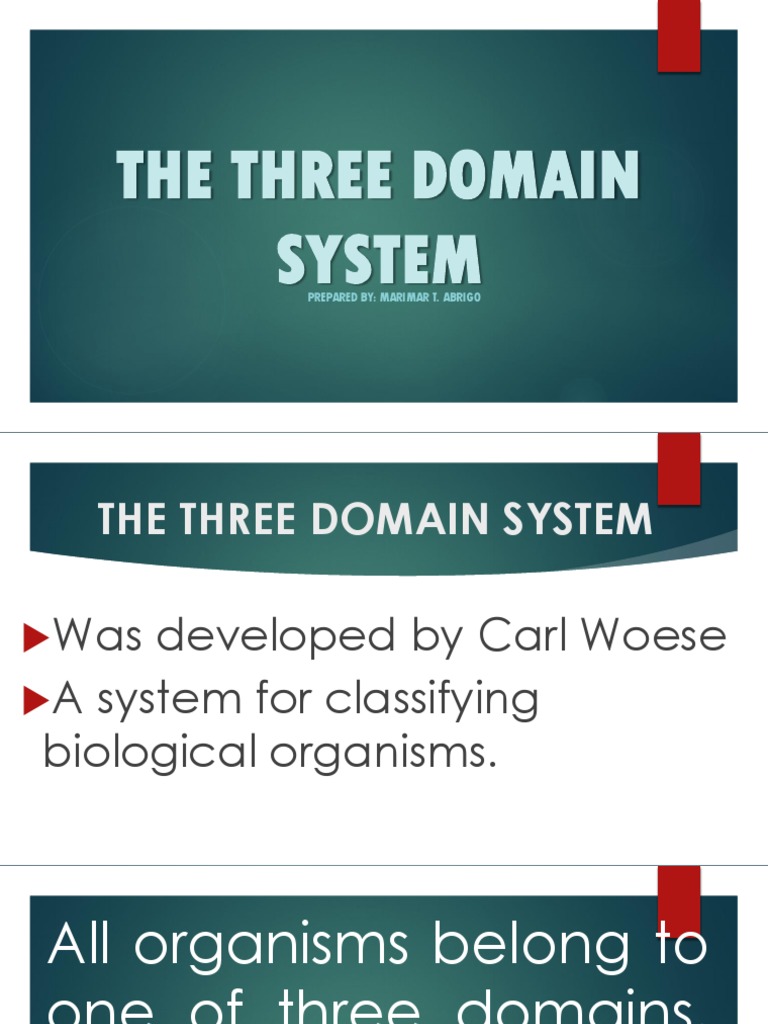 The Three Domain System: Prepared By: Marimar T. Abrigo | PDF | Archaea ...