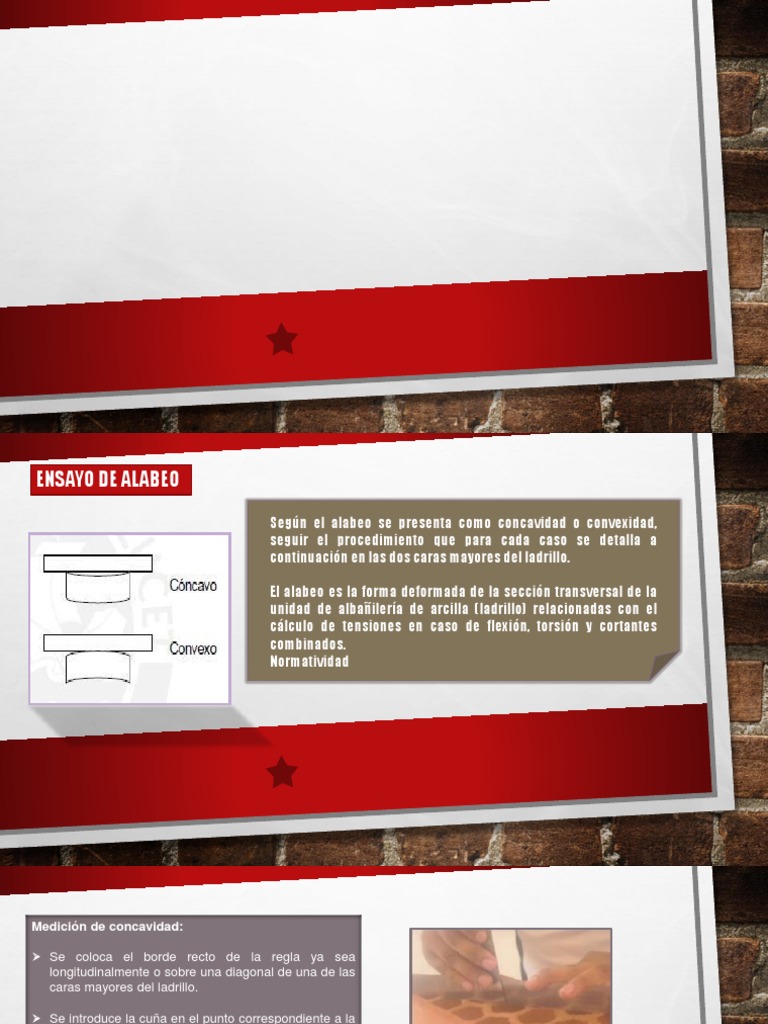 Alabeo Efluorescencia y Axial | PDF | Albañilería | Ladrillo