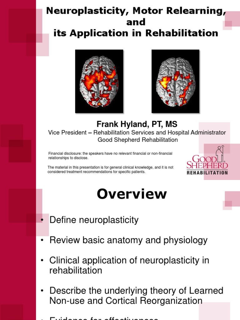 Approach | PDF | Neuroplasticity | Nervous System