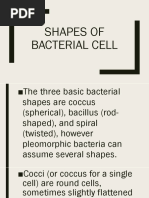 Autopsy of A Dill Pickle Person Lab | PDF | Abdomen | Anatomical Terms ...