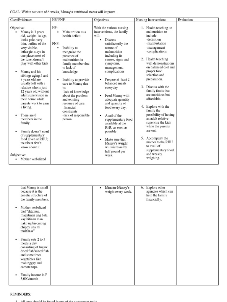 Sample Family NCP - Community Health Nursing | PDF | Malnutrition ...