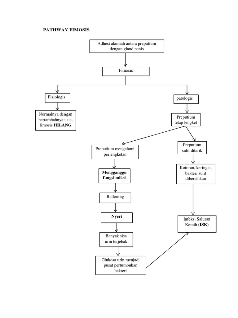 Pathway SGD Fimosis | PDF