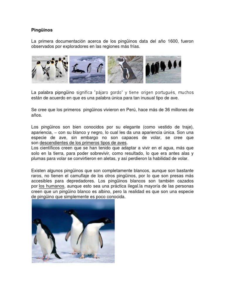 Pingüinos | PDF | Pingüino | Aves