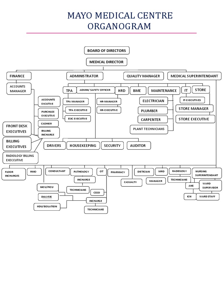 Organogram Hospital | PDF | Health Care | Medicine