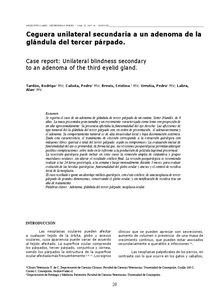 Ceguera Unilateral | PDF | Ojo humano | Ojo