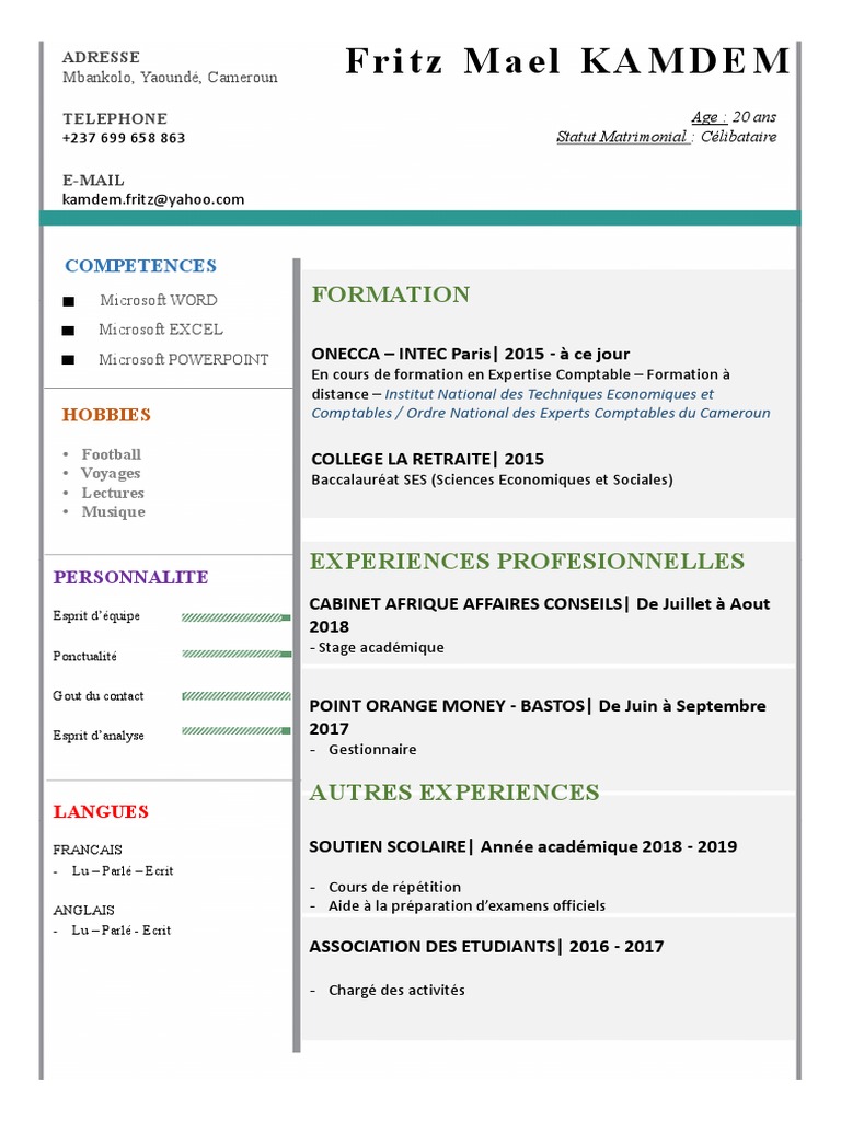 CV Fritz 1 | PDF | Évolution de carrière