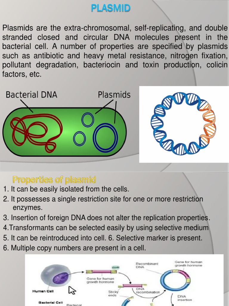 Plasmid | PDF | Plasmid | Bacteria