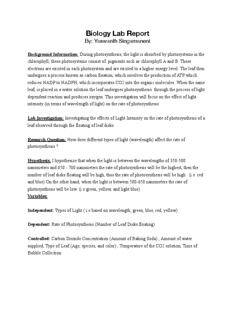 Biology Lab Report | PDF | Chlorophyll | Photosynthesis