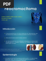 Signo de Mapache | PDF | Lesión | Medicina