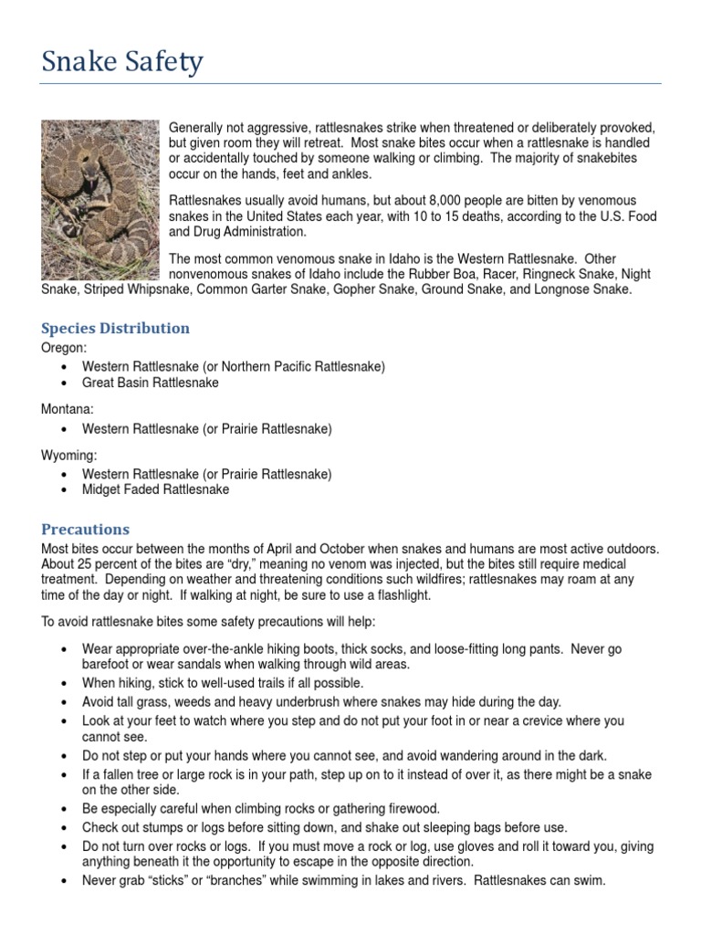 Stelprdb5393596 PDF | PDF | Rattlesnake | Snake