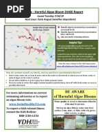 DH Cs Exec Staff Org Chart | PDF | Economics Of Service Industries ...