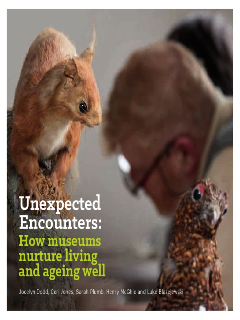 Unexpected Encounters S | PDF | Museum | Psychology