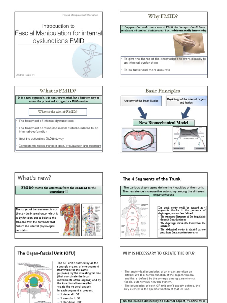 Fascial Manipulation For Internal Dysfunctions FMID | PDF | Abdomen ...