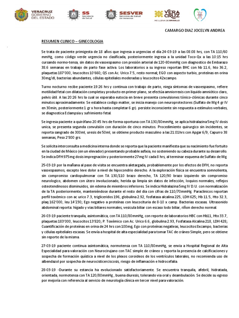 Ejemplo de Resumen Clinico | PDF | Parto | Especialidades Medicas
