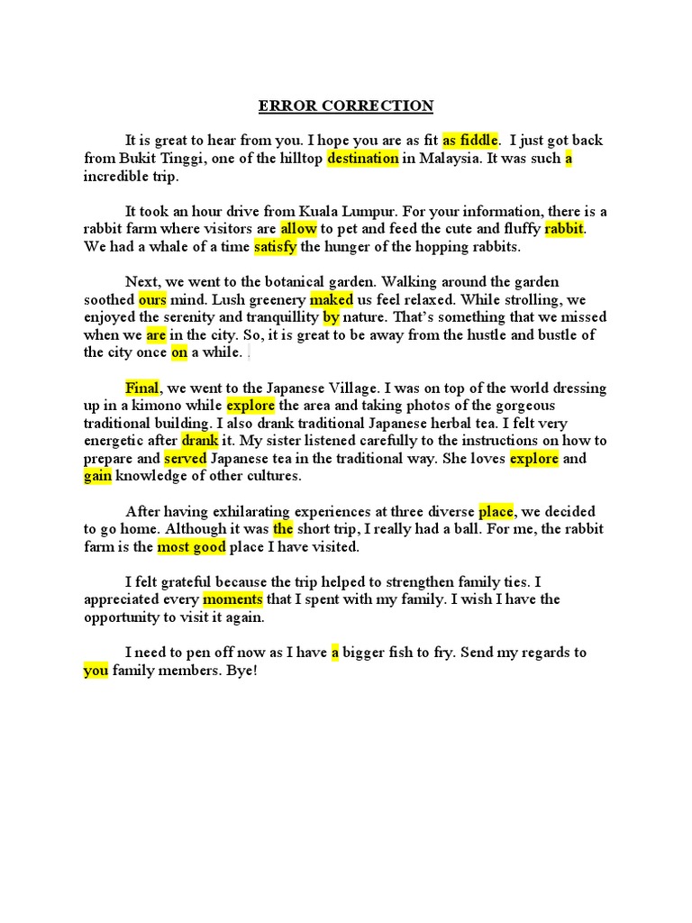Family Trip and Fire Incident Recount | PDF | Firefighter | Nature