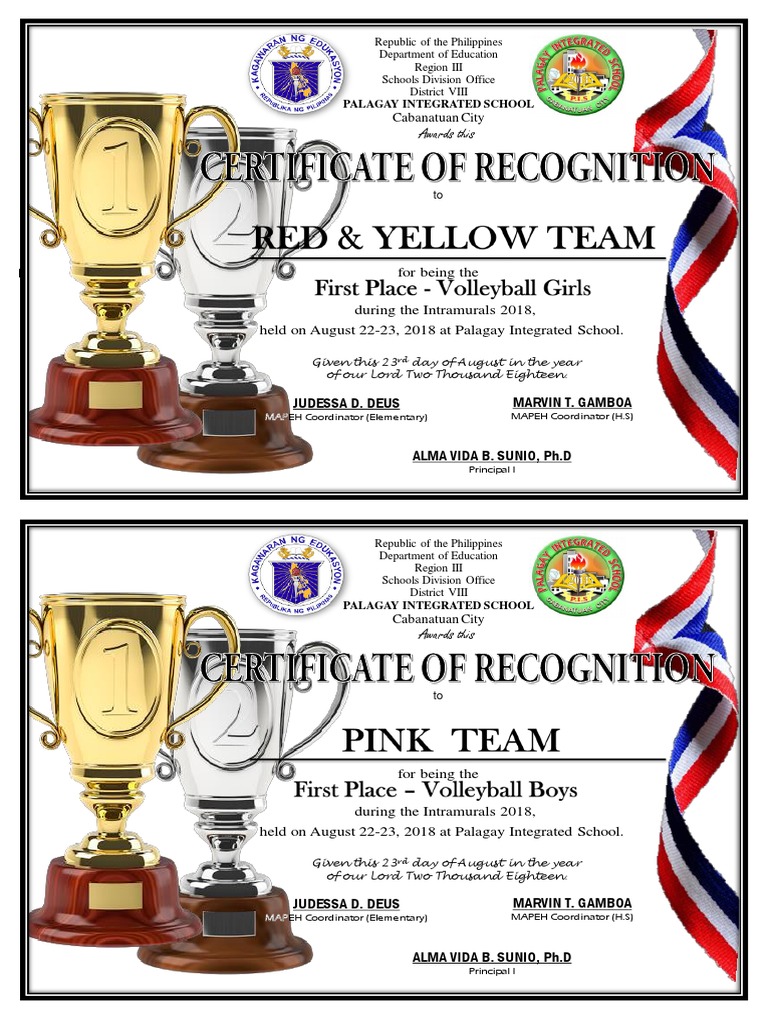 Certificate Intrams 2018 | PDF