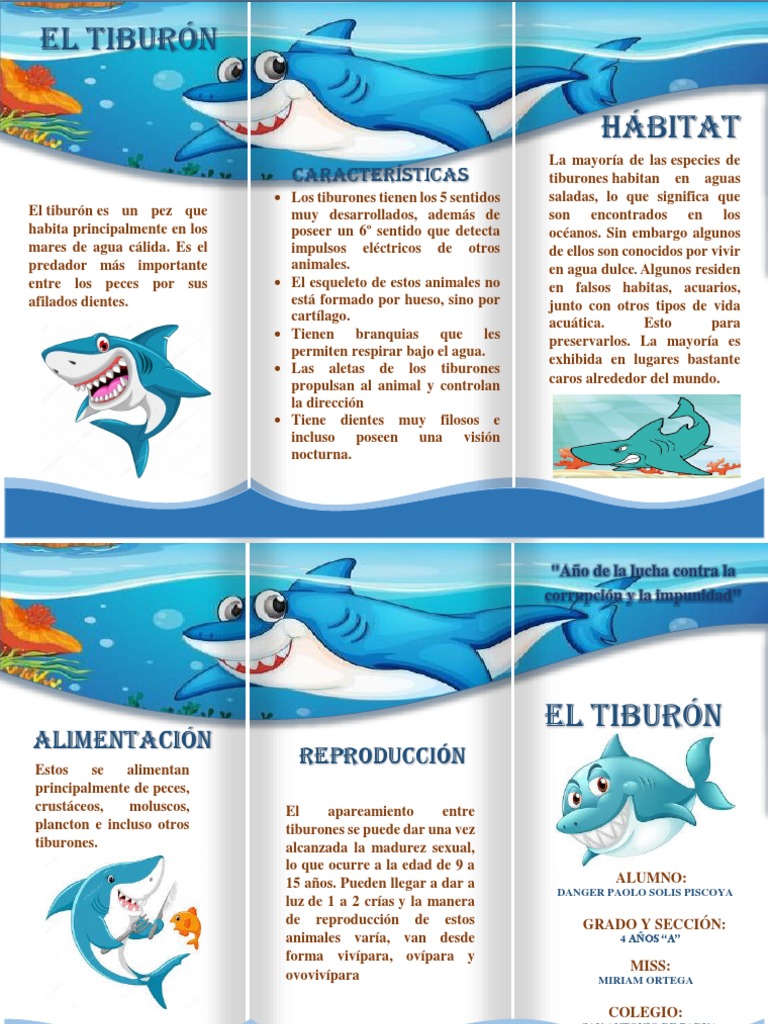 el tiburón Hábitat: Características | Tiburones | Pescado