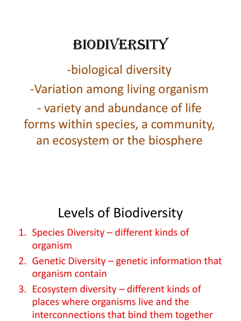 Understanding Biodiversity for Grade 8 | PDF | Taxonomy (Biology) | Genus