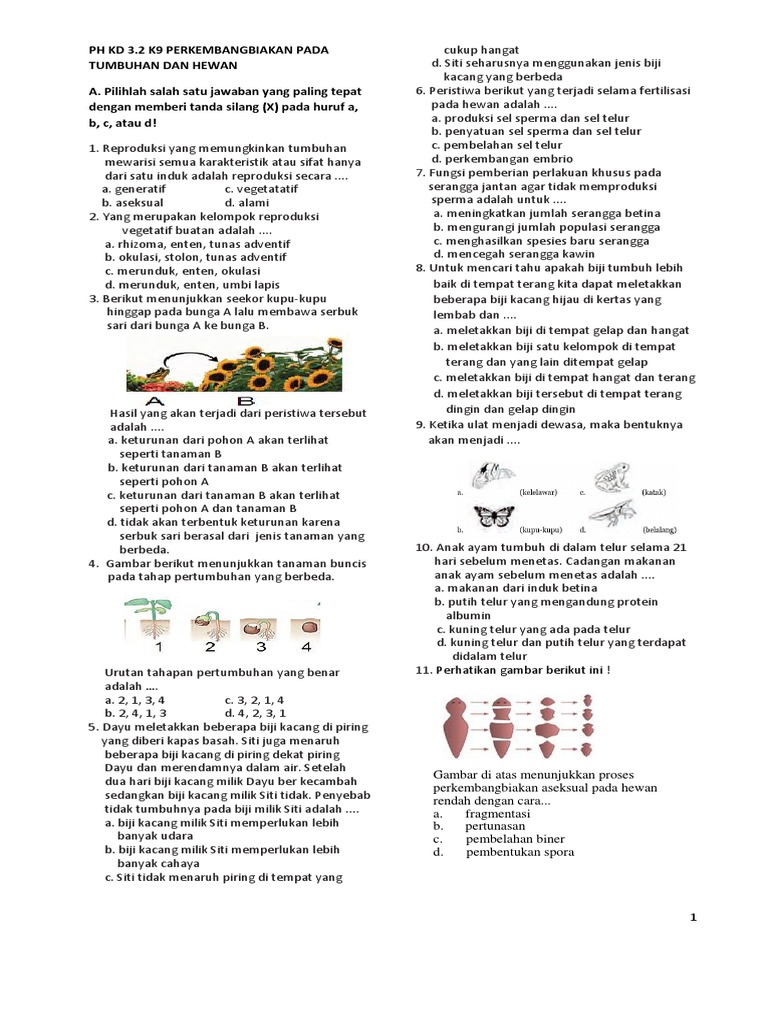 Soal Uh 2 Bab2 k9 k13 | PDF