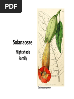 Weed Identification Guide | PDF | Clover | Leaf