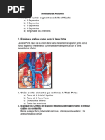 Arco de Riolano | PDF | Tinción | Anatomía