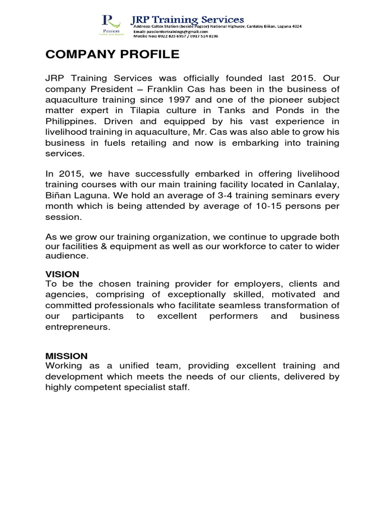 Company Profile: Vision | PDF