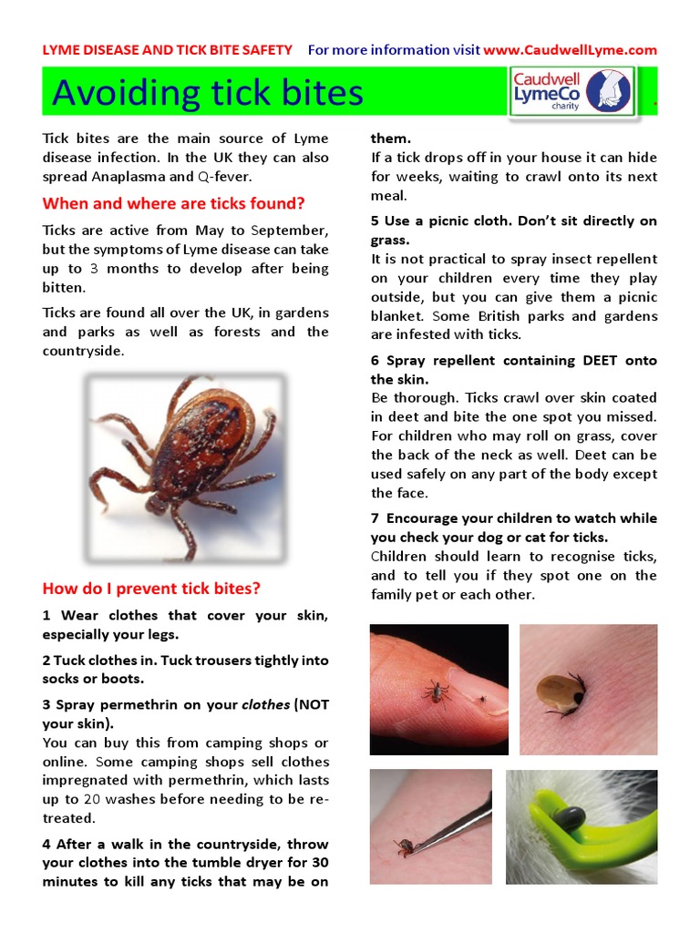 Avoiding Tick Bites: When and Where Are Ticks Found? | PDF | Lyme ...