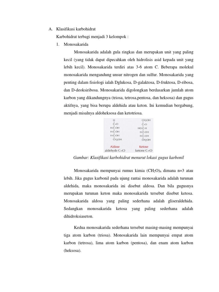 Klasifikasi Karbohidrat | PDF