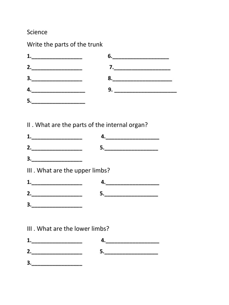 Trunk and Limb Parts Worksheet for Kids | PDF
